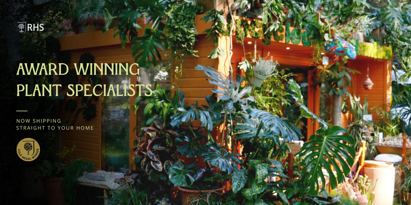 Pet Friendly – Plant Warehouse