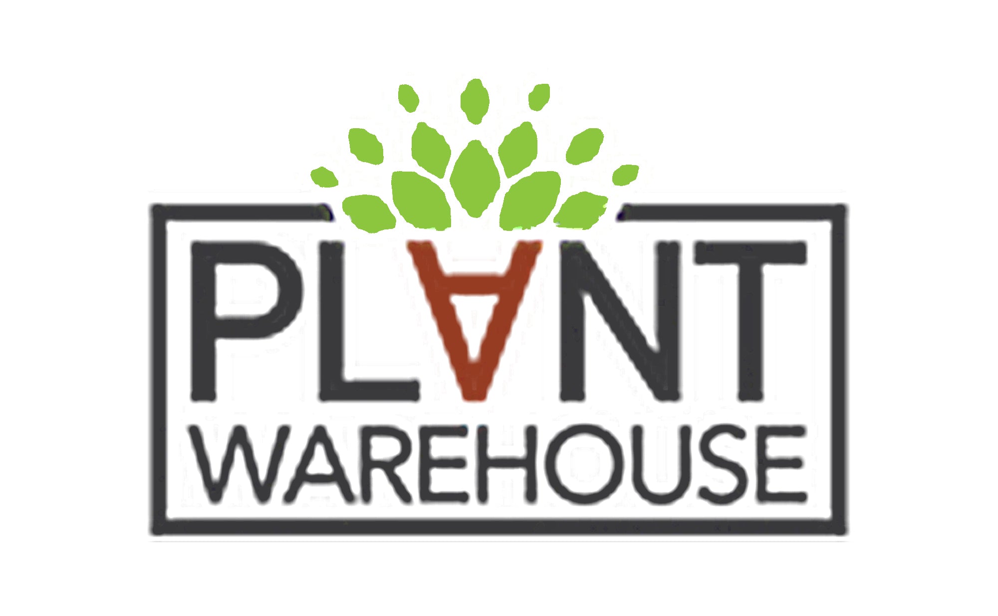 Low Light – Plant Warehouse