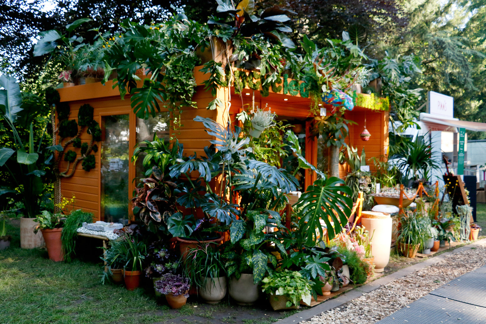 Plant Warehouse | Buy Indoor Plants Online | UK Houseplant Delivery